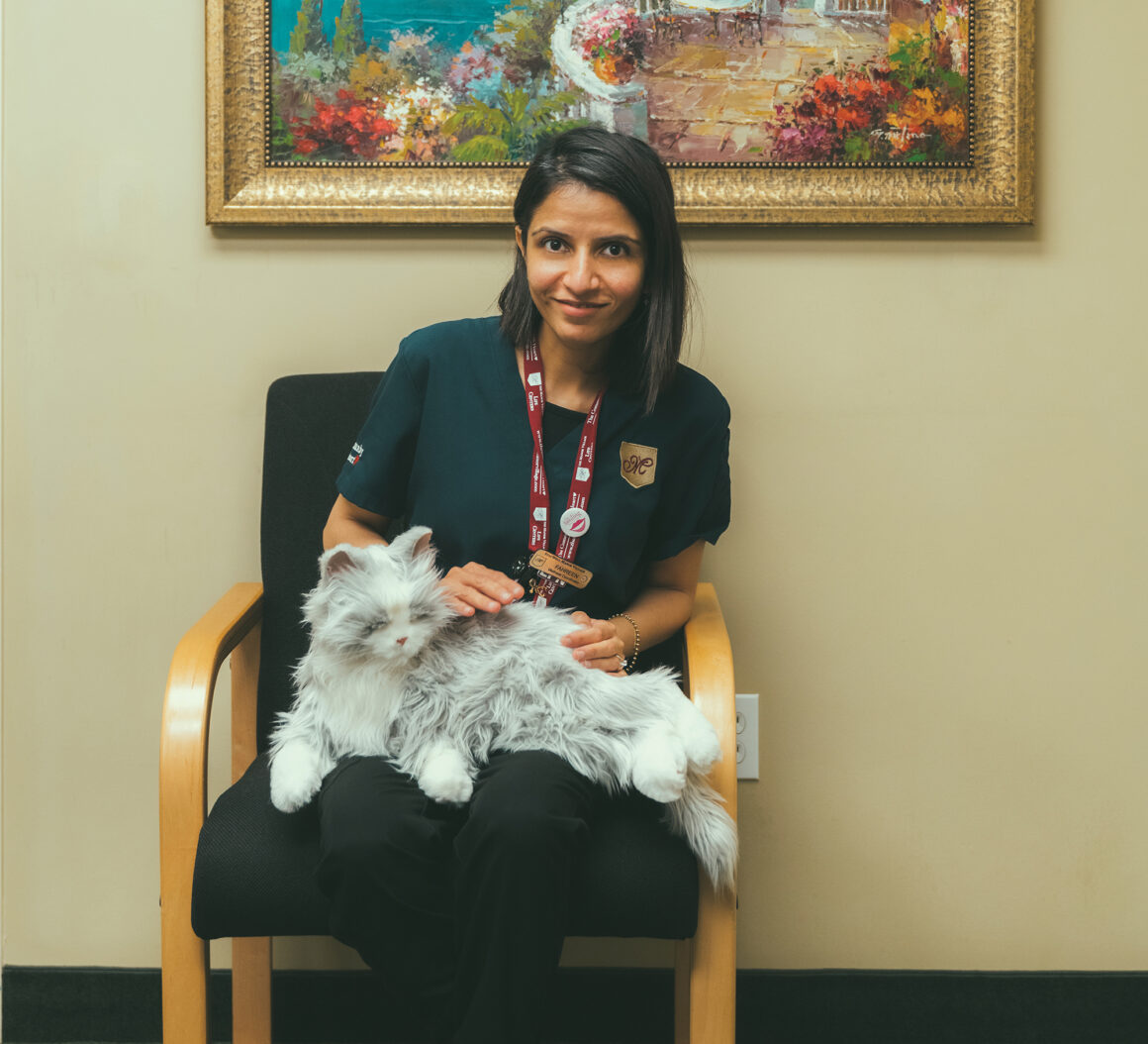 Better Aging with Pets | arch magazine