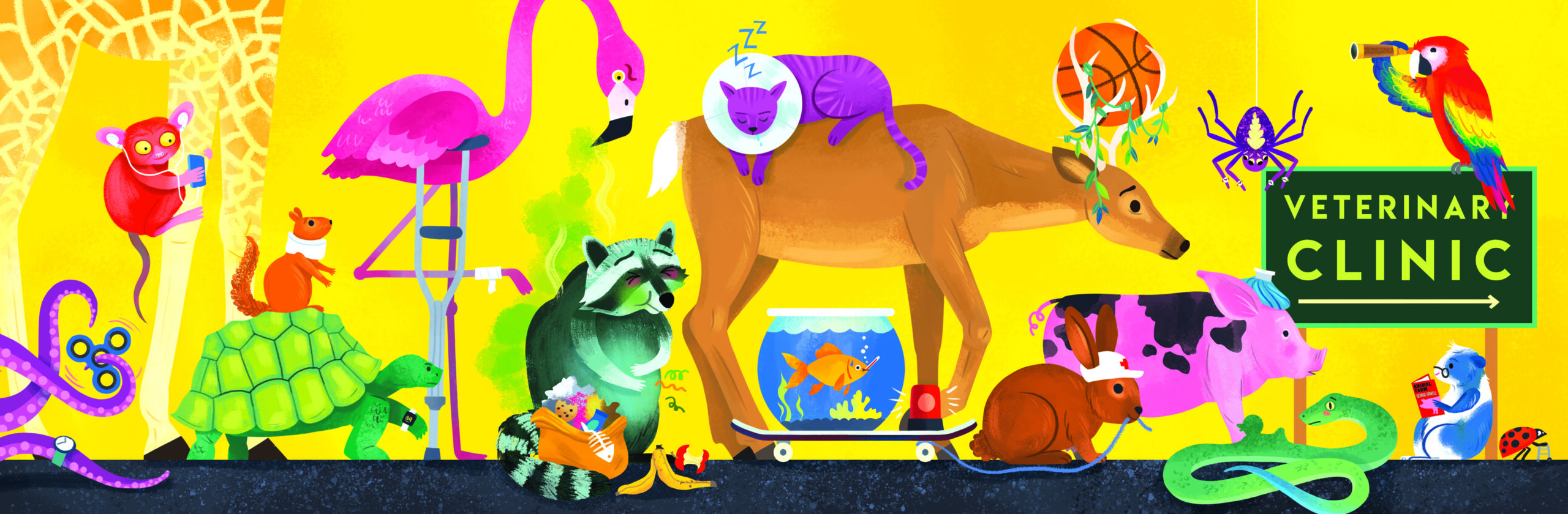 Vet Med Grows Up | arch magazine