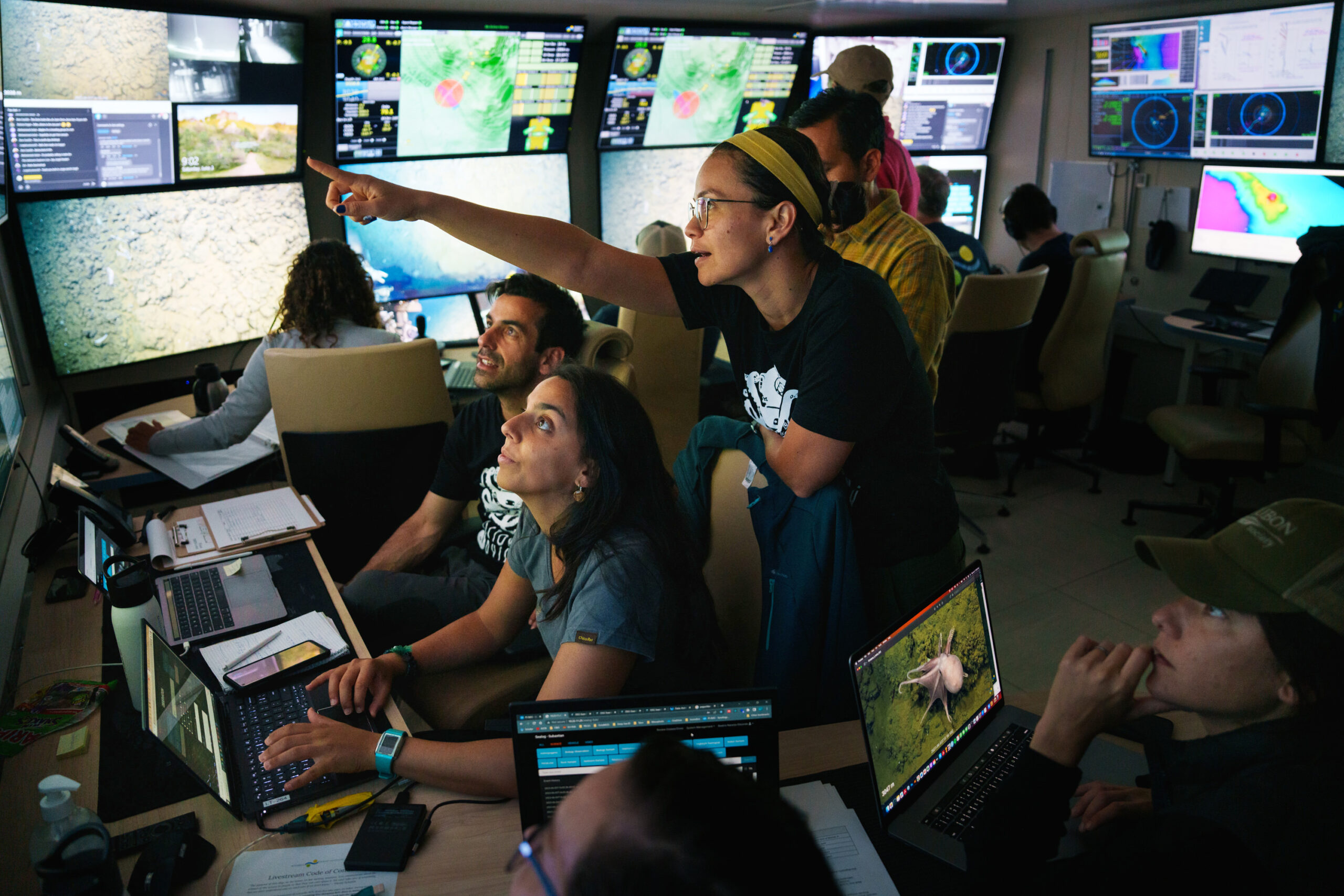 How Physics Pointed the Way to an Unexpected Octopus Discovery Deep in ...